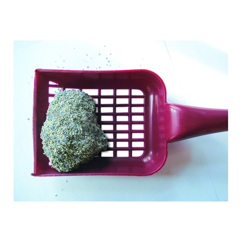 Golden Grey MASTER arena gatos