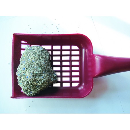 Golden Grey MASTER arena gatos