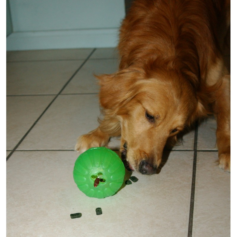 Starmark Everlasting CHEW Ball